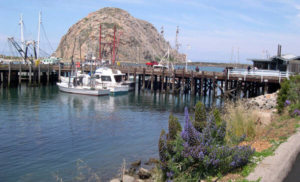 Bezienswaardigheden Morro Bay - Tioga Tours