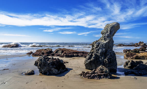 Bezienswaardigheden Morro Bay - Tioga Tours