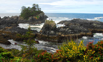 Bezienswaardigheden Pacific Rim NP - Tioga Tours